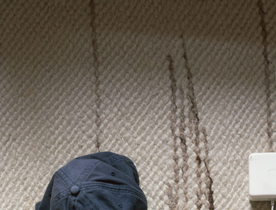 Christopher Muller | Stilleben